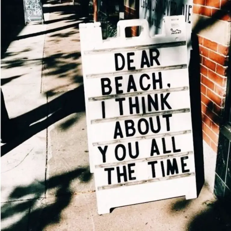 9 Summer Vibes Quotes and Memes That Give Us ALL The Summer Vibes Feels ...