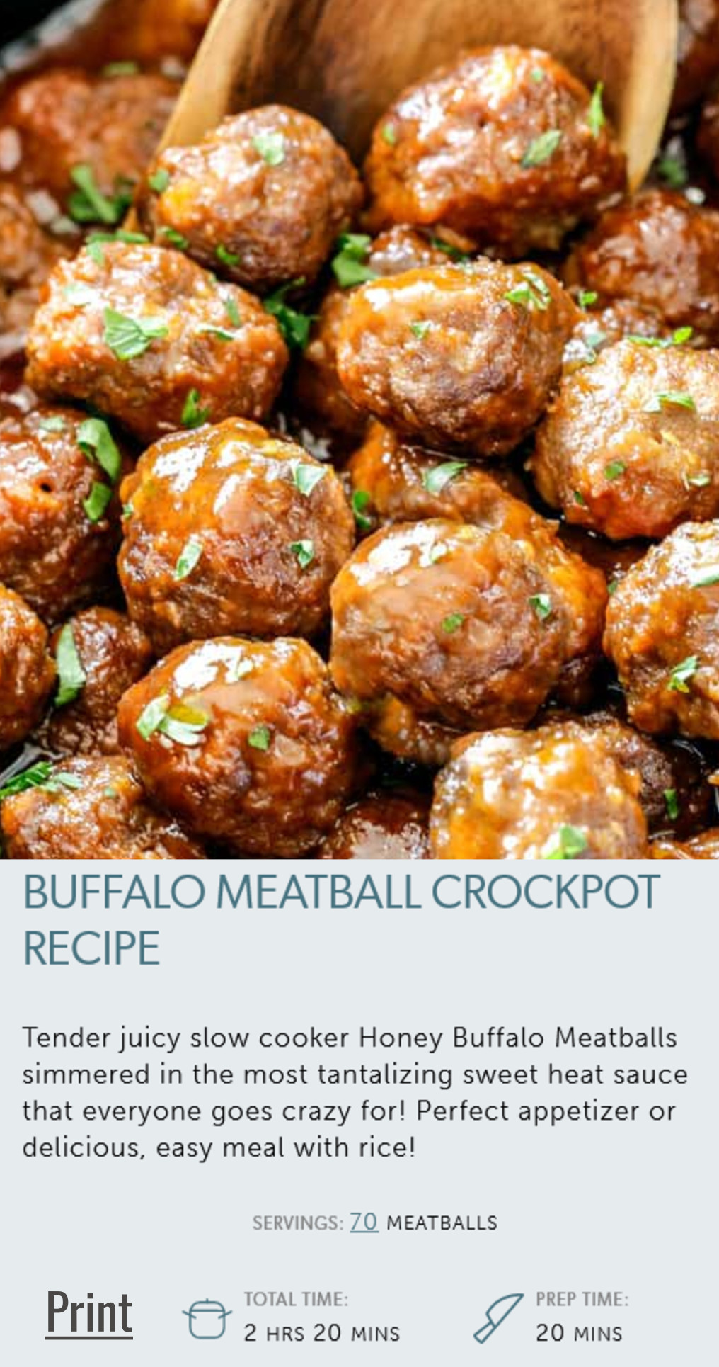 Book Club Food Last Month Plus Jen's Favorite Appetizers - April Newsletter