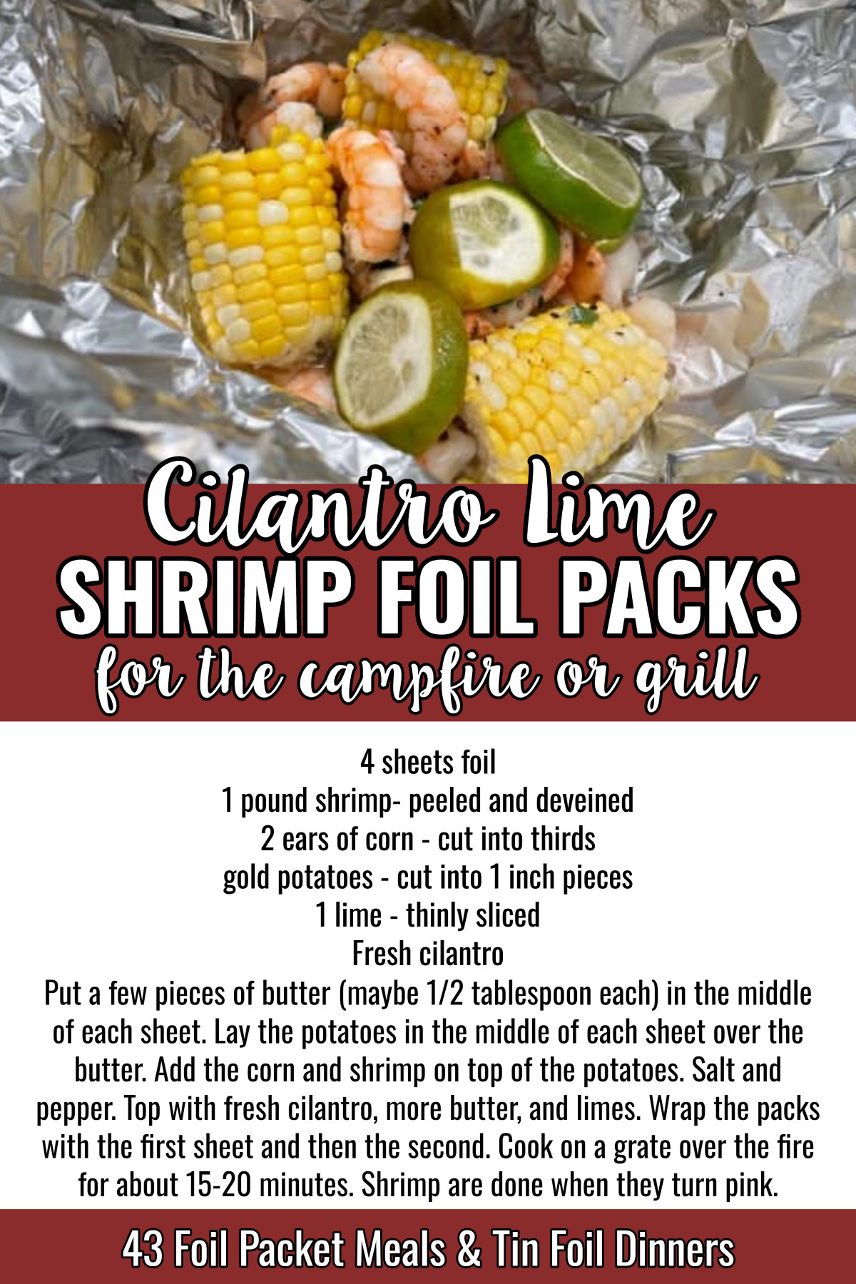 Foil Packets - 43 Foil Pack Meal Recipes For Quick Easy Tin Foil Dinners